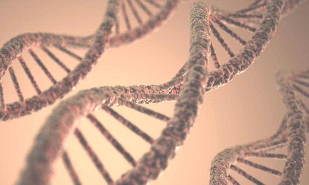 What Is DNA Fragmentation and Why Does It Matter? - Medical Electronic ...